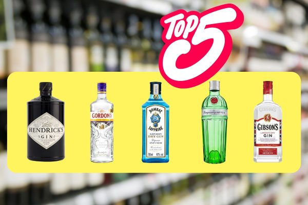 TOP 5 | Les meilleurs gins trouvables en supermarché